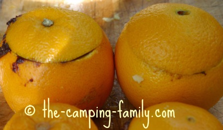 Camping Desserts: Smores, Brownies In An Orange Shell And More
